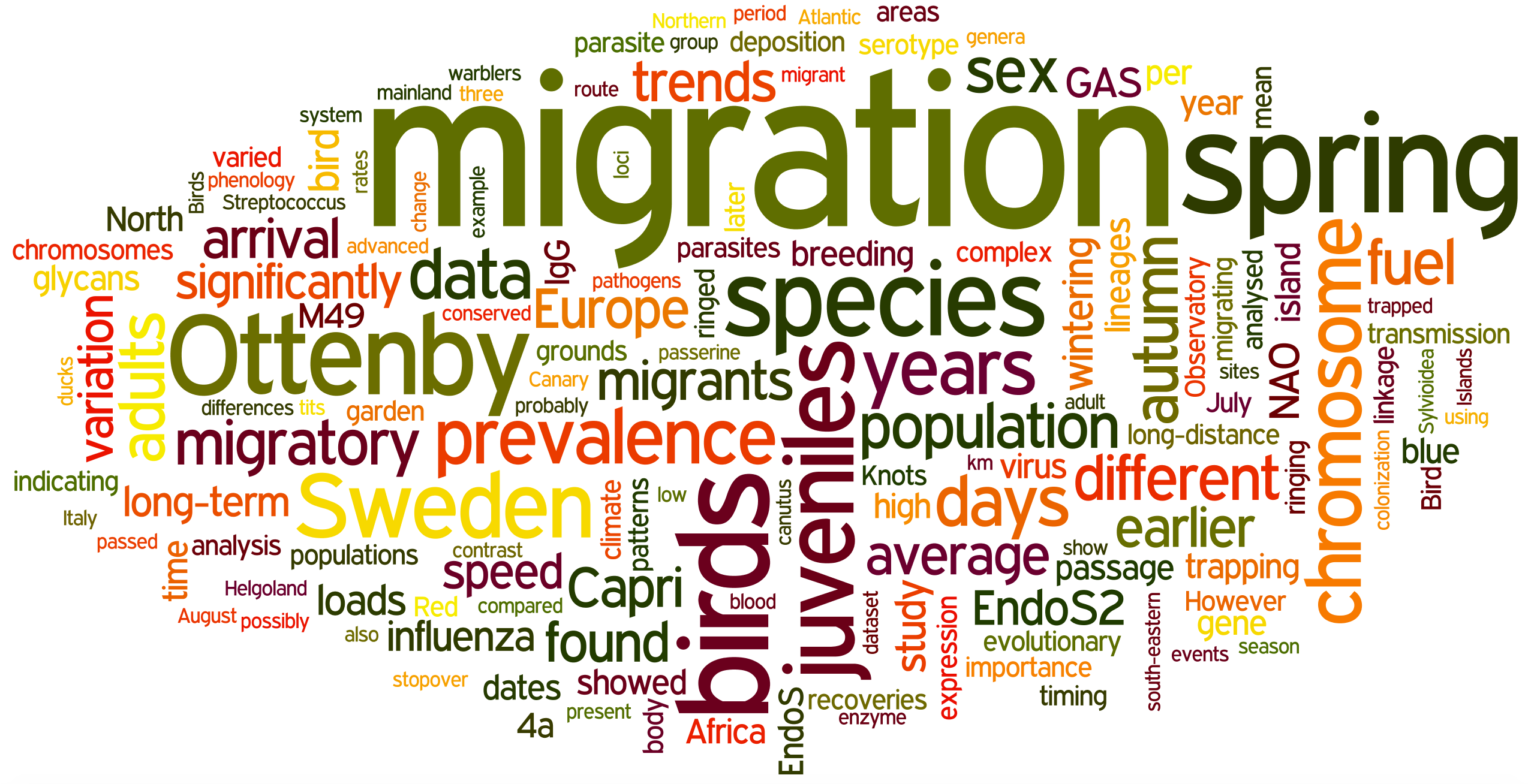 Publication wordle 2015 - Martin StervanderMartin Stervander